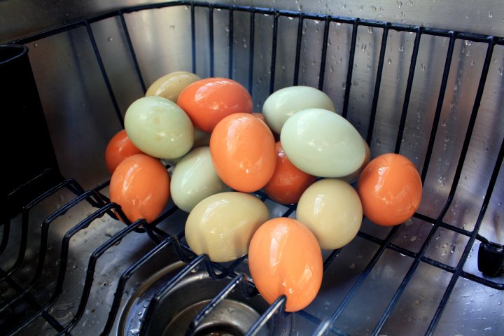 Desires of a Human Heart