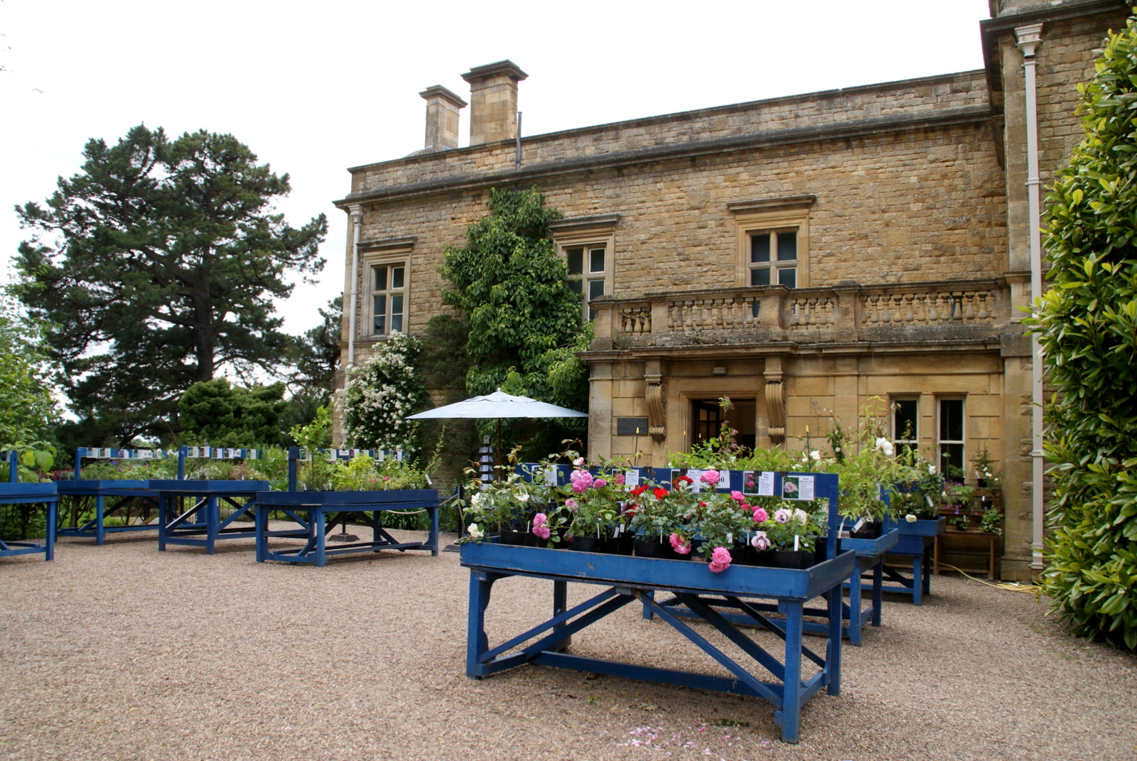 Organic Garden Dreams: Kiftsgate Court Gardens, England I