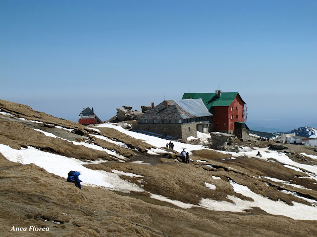 destinatiidevacanta.blogspot.com: Buşteni - Babele, Sfinxul - Platoul ...