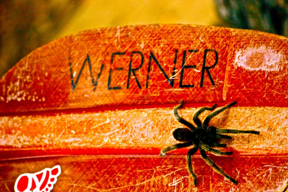 Creeking with Jake Greenbaum