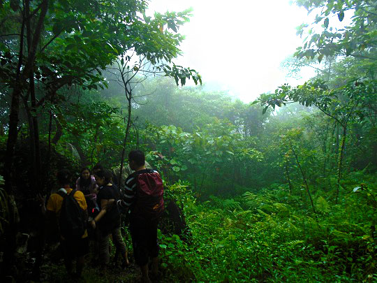 Mt. Lubog, Rodriguez, Rizal (In Photos) - Olvr'sTrvls