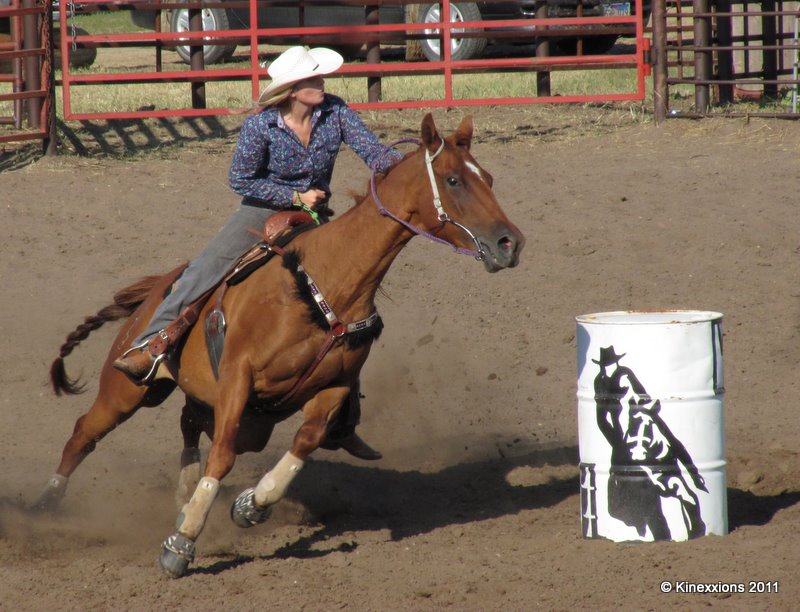 kinexxions: Roe-Dee-Oh :: Mutton Busting and Barrell Racing