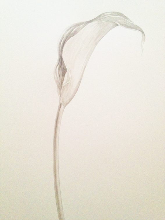 Dianne Sutherland: Monochrome, Ink Wash Tonal Painting of a Calla lily