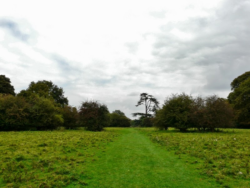 Cindy's Snaps: Hatfield Forest (stomping ground of my Hatfield Broad ...