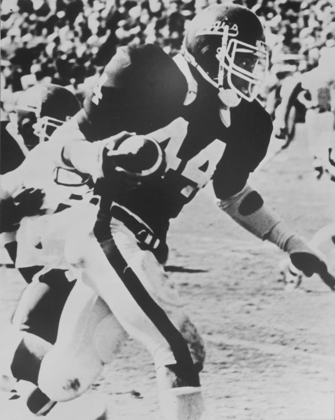 Cruces Sports: February 2014