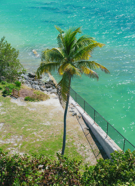 Passion of Life: Beautiful natural animations