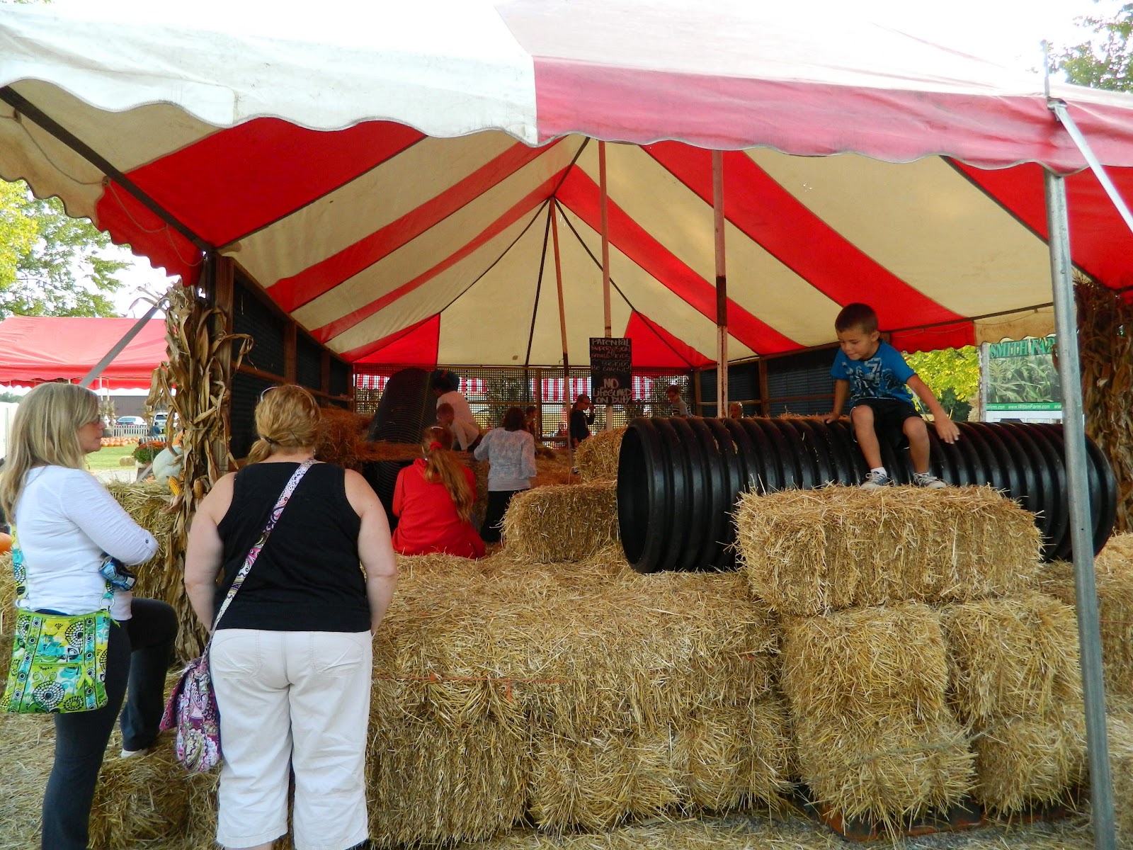 Smith Farm Market's Fall Festival - Columbus, Ohio