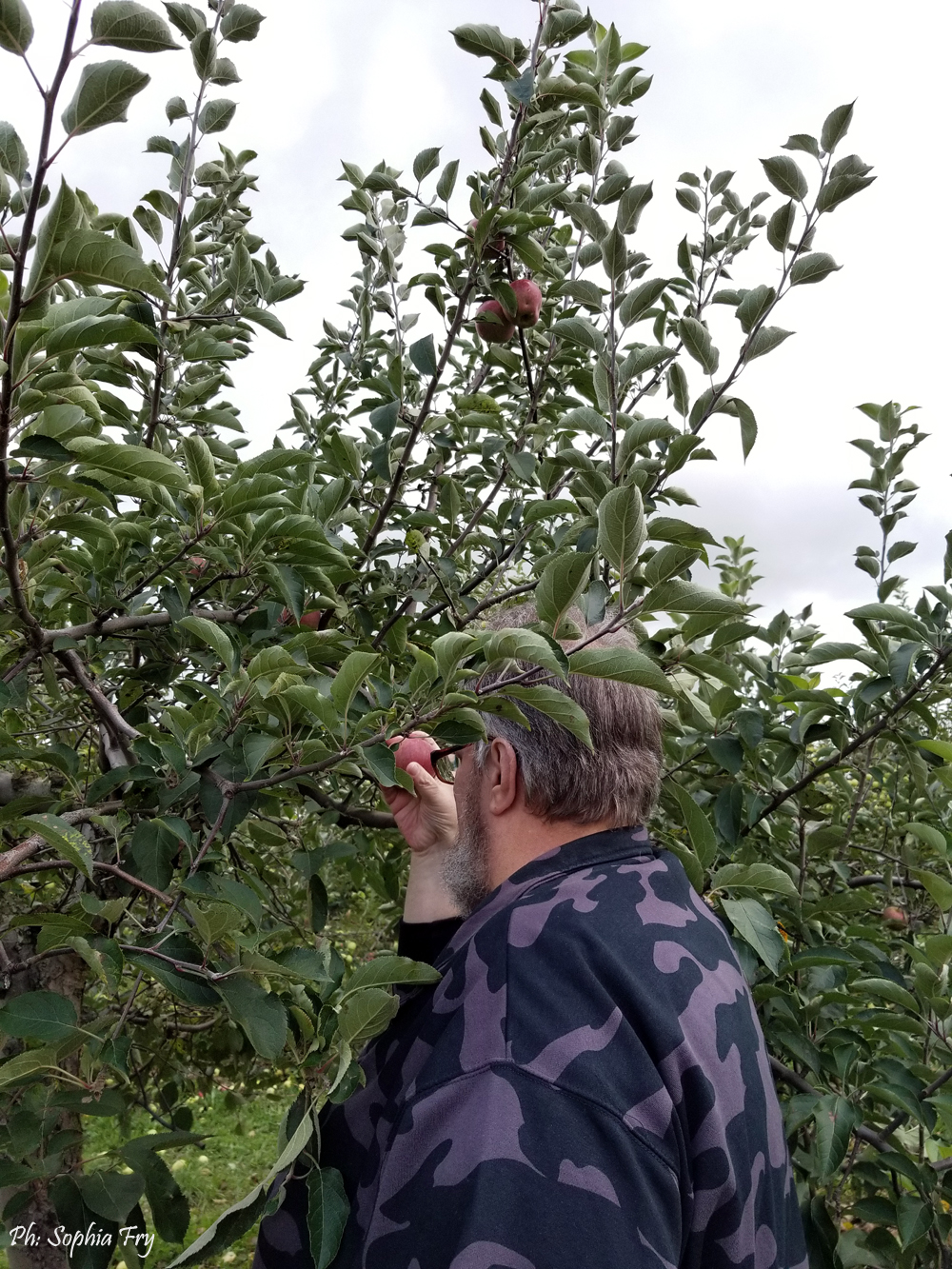 Two Frys: Apple Ridge Orchards
