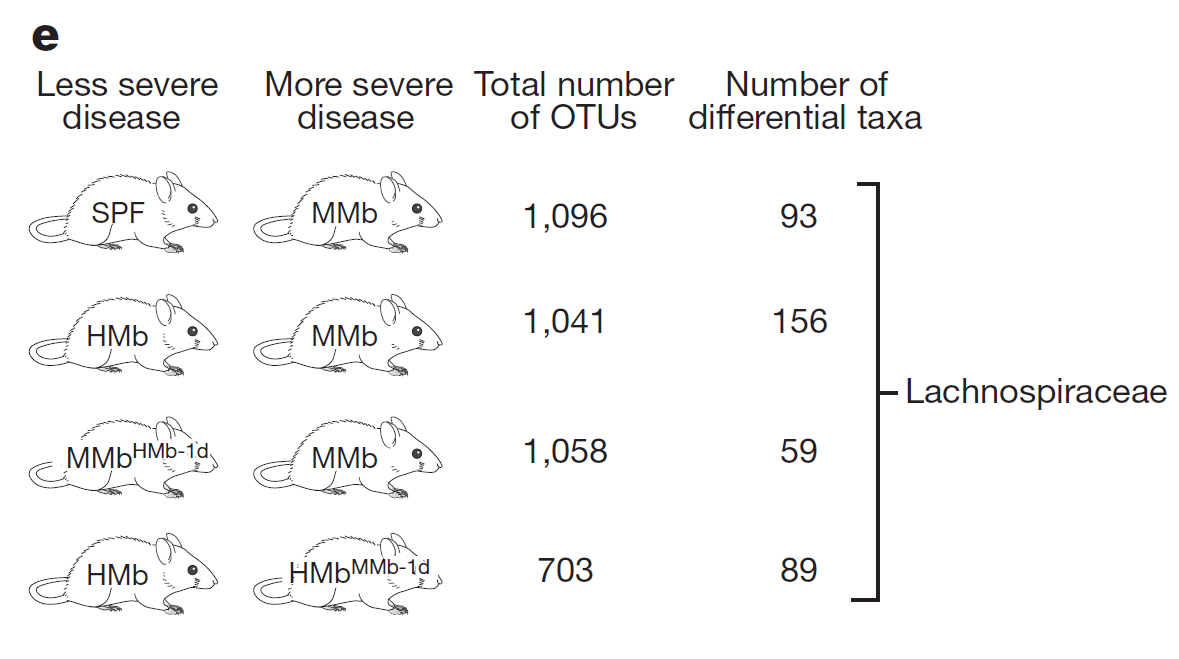 From microbiome-association studies to causal microbe identification ...
