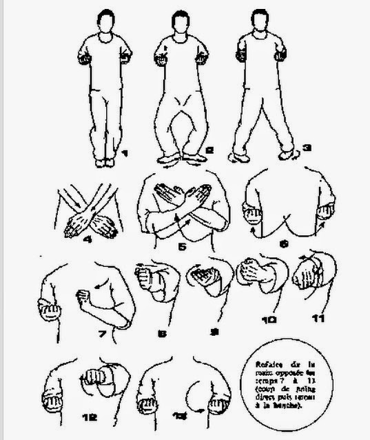 The Wing Chun Master: Basic forms of Wing Chun