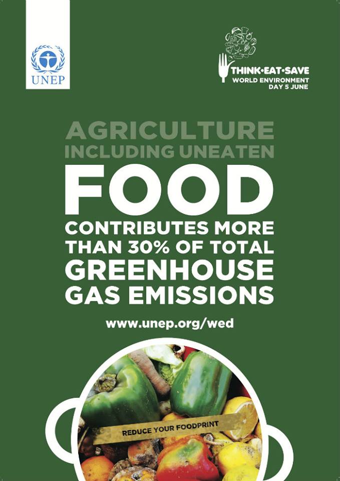 Ibi Benefici Locus Est: World Environment Day 2013 -- Think. Eat. Save.