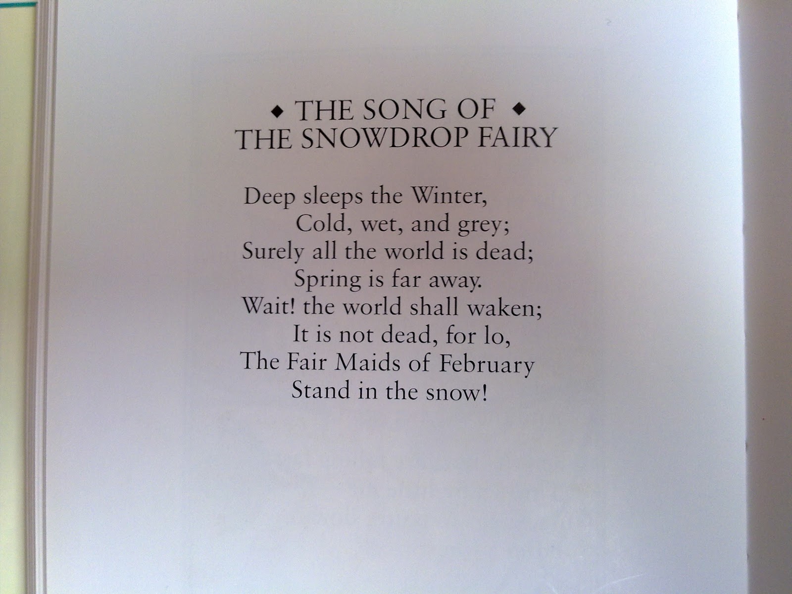 Mum's Simply Living Blog: Snowdrops