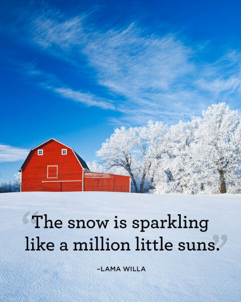 18 Absolutely Beautiful Winter Quotes About Snow - Our World Stuff