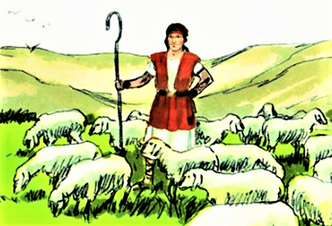How Does A Shepherd Take Care Of His Sheep