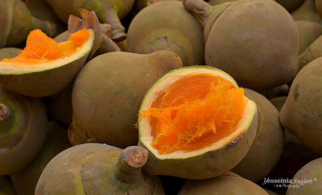 VISIÓN AGROECOLÓGICA: Beneficios, Nutrientes Y Propiedades Del Zapote