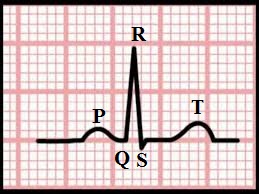 Mudahnya belajar EKG dalam 15 menit