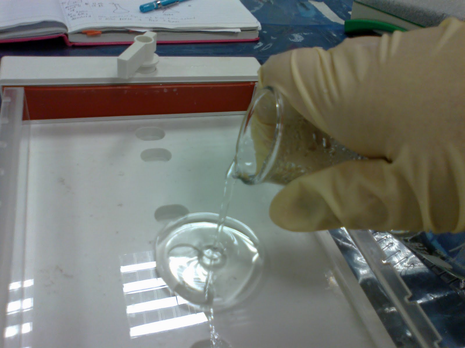 SHERYNA: Preparation of Agarose gel