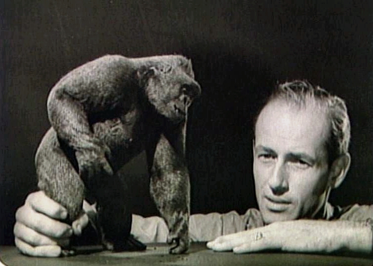 Classic Film and TV Café: Seven Things to Know About Ray Harryhausen