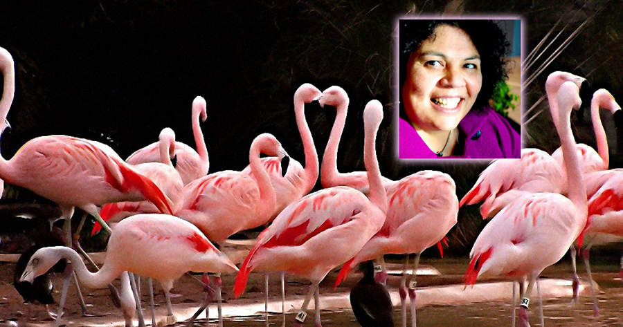 Mariam Kobras: Memories of 9/11, Flamingos, and New Hope.