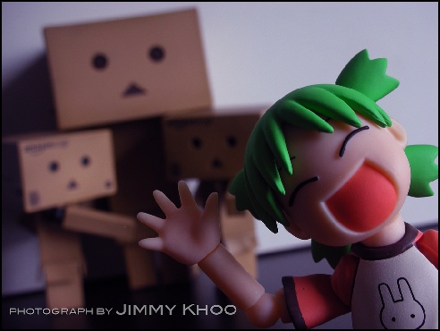 Danbo pictures from talented photographer jimmy khoo