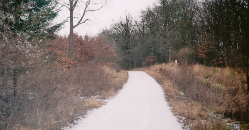 wideeyedtree: white paths