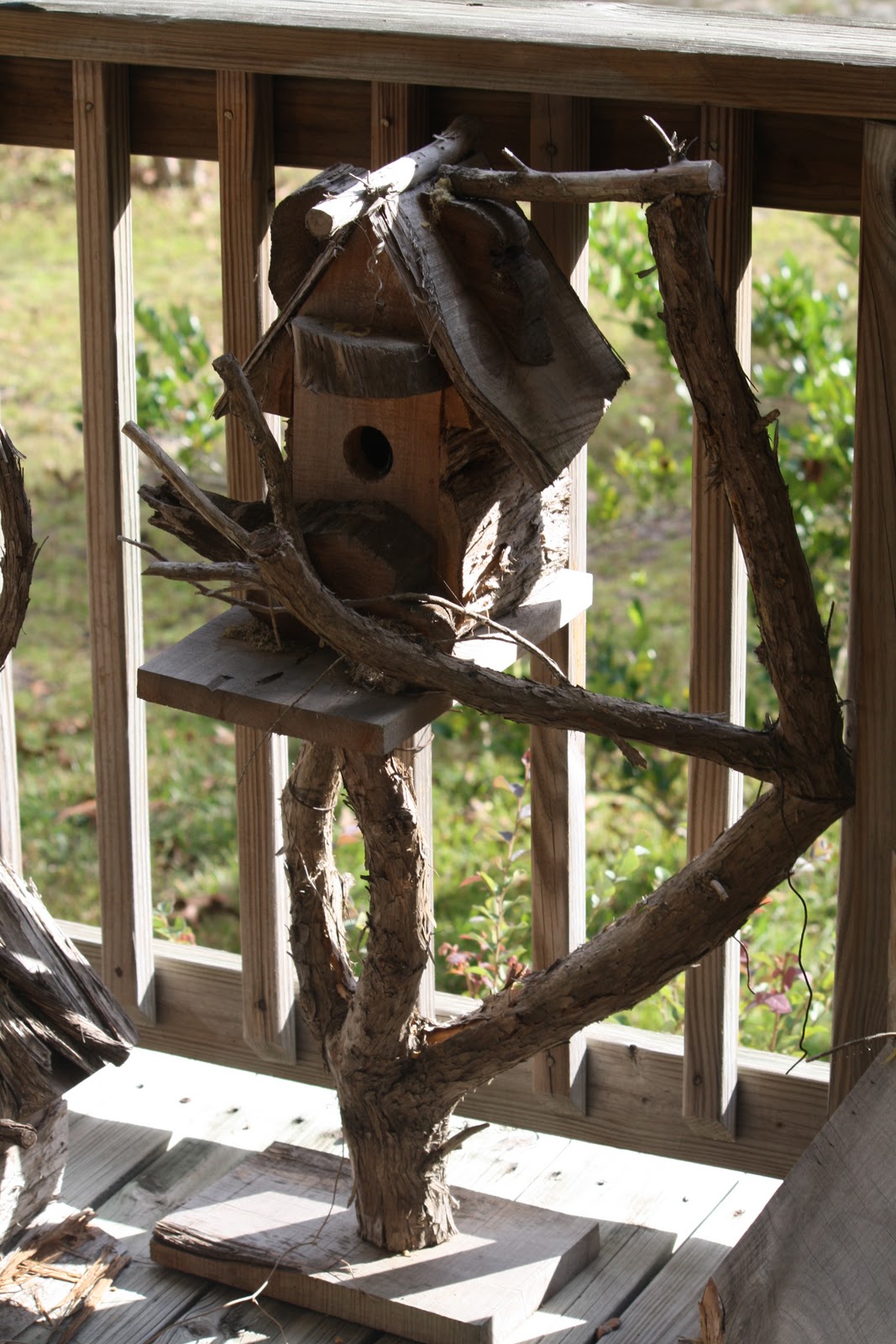 The Blue Whale and Other Travel Tales: Ocali Days at Silver River ...