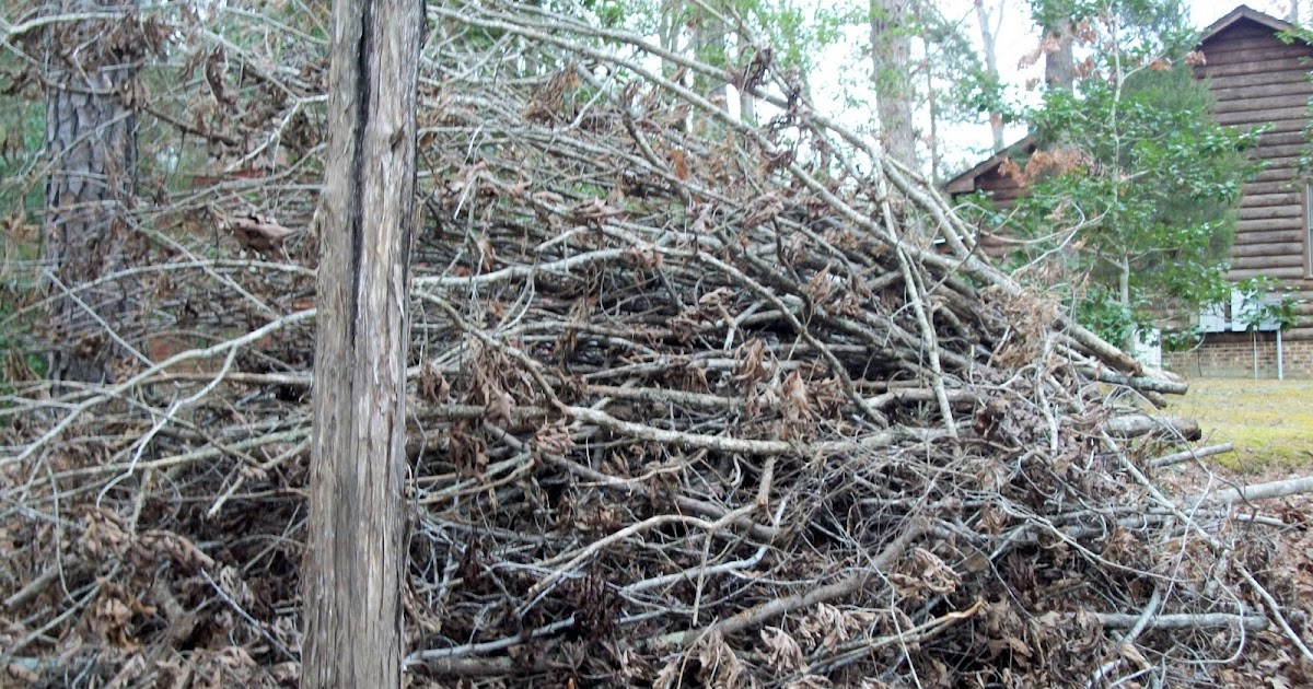 Henny Penny Lane: Picking up sticks