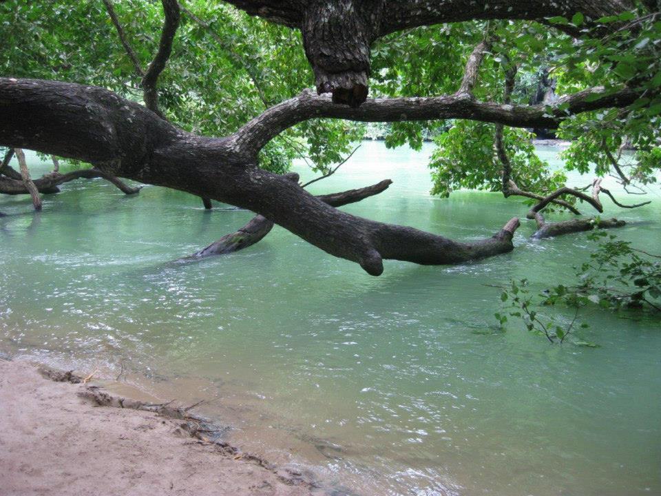 CAPTURING A PART OF PALAWAN – Puerto Princesa and the Underground River ...