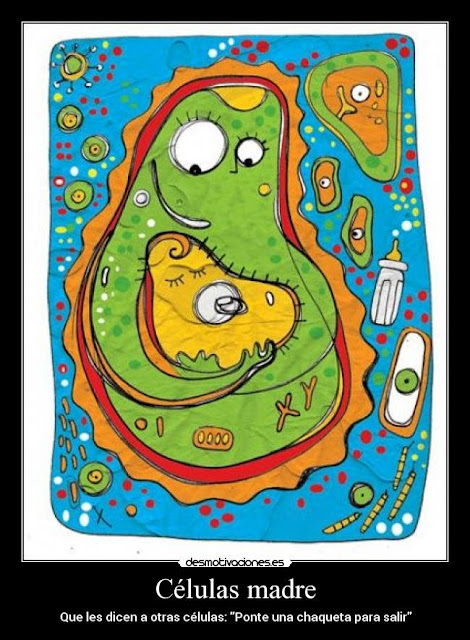 EL DESCONTROL : PROYECTOS 5º