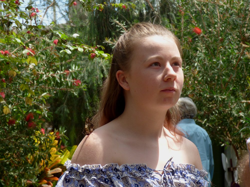 Kittling: Books: Daisy at Butterfly Wonderland