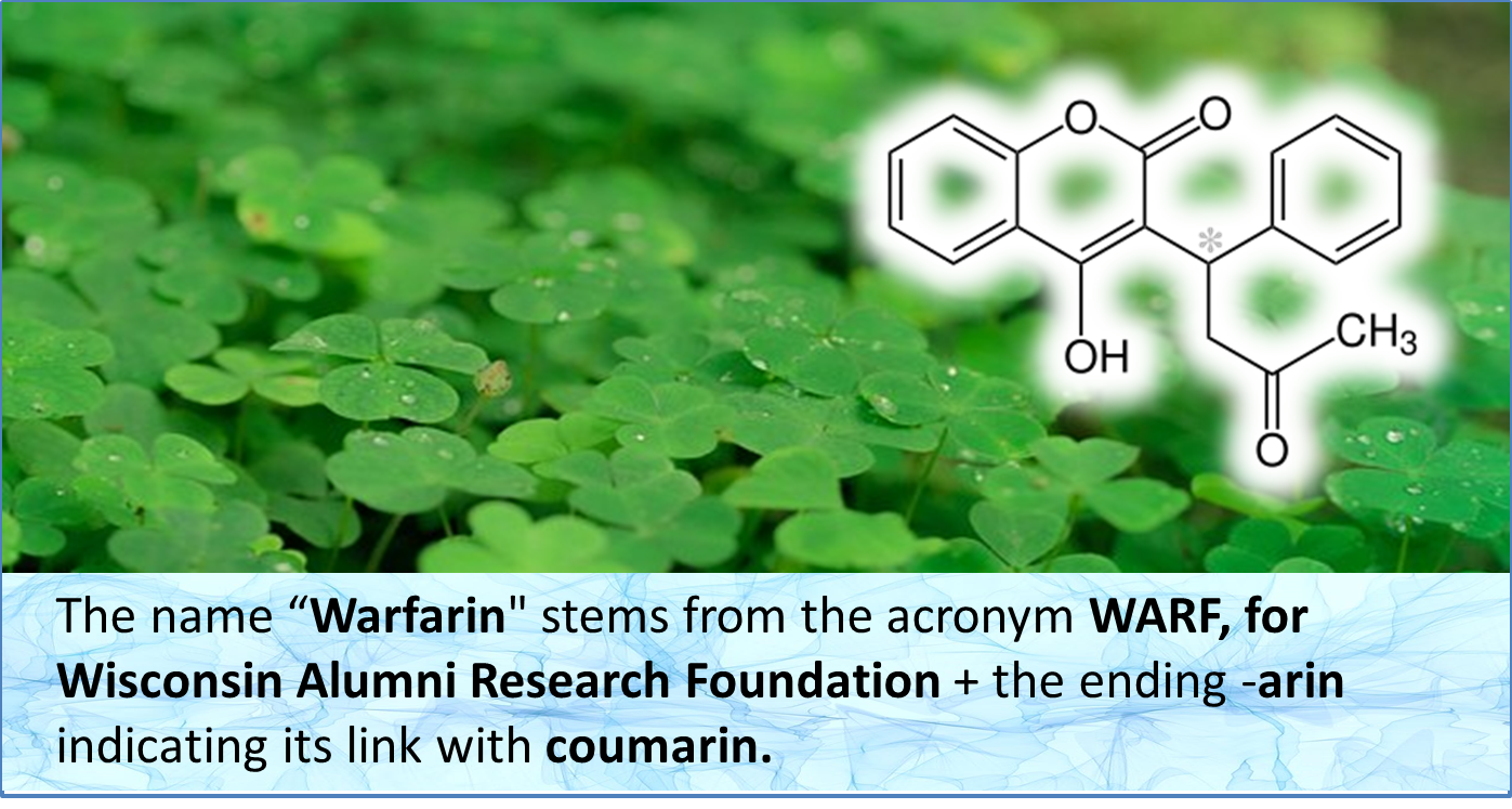 The Origin Of The Name Warfarin the-origin-of-the-name-warfarin