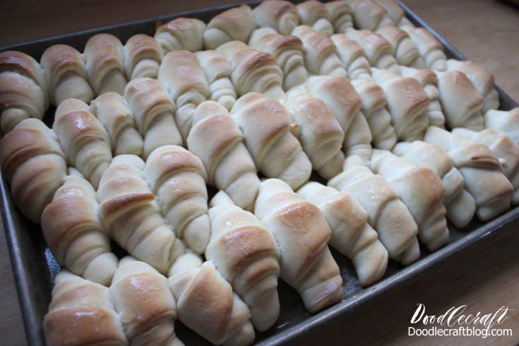 Fresh Baked Rolls from Scratch in 30 Minutes Recipe!