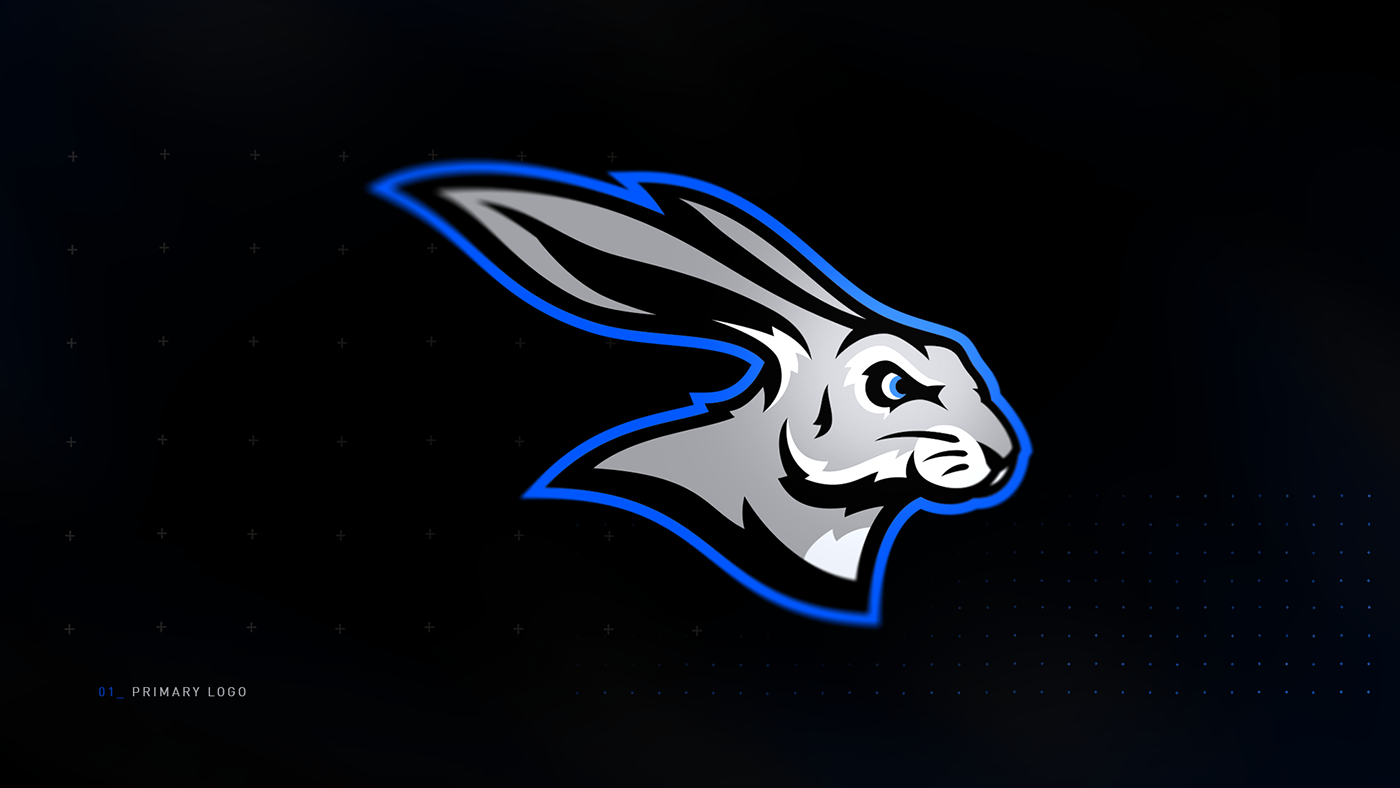 Esports Team logo - Welcome to my Esports Gaming Mascot logo Blog