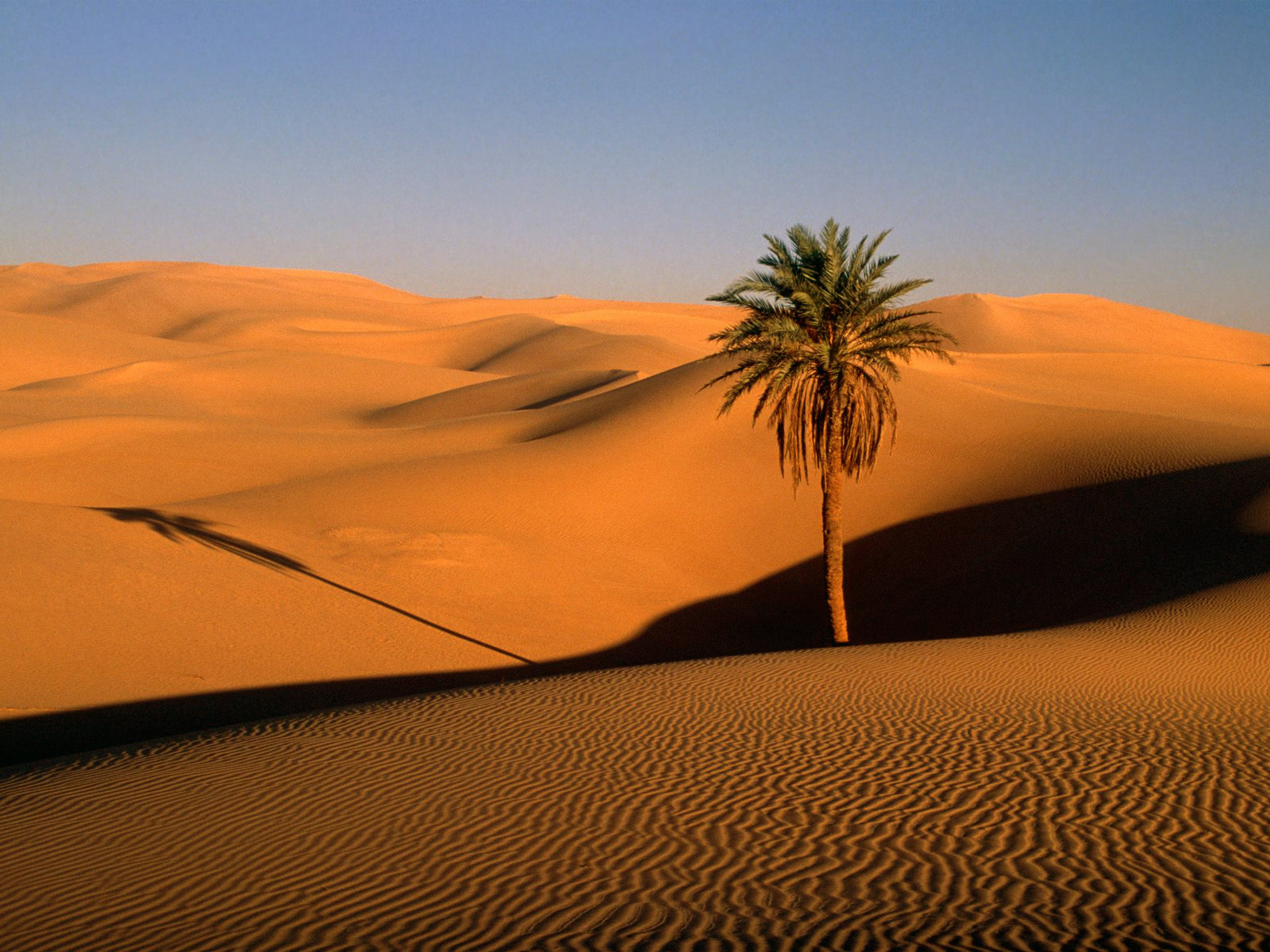touristsparadise: Sahara Desert