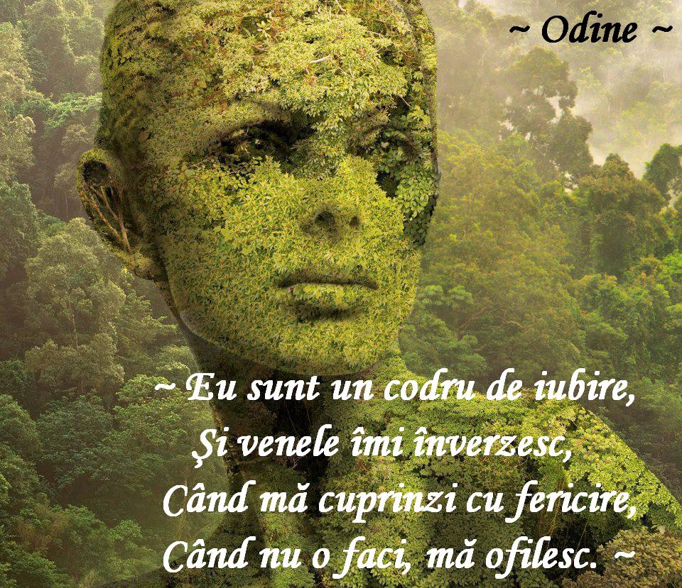 Odine ~ Carte de Iubire~: ~ Eu sunt codru şi marea