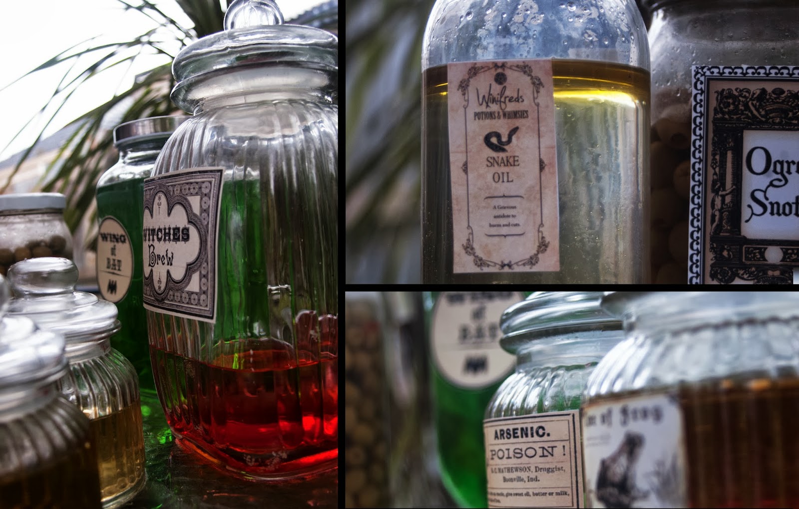 Tinker and Cook: Halloween Decorations: Magic Potions