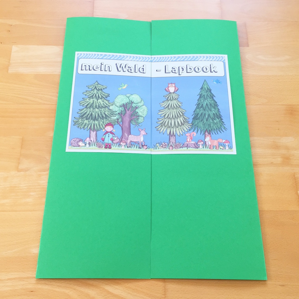 Materialwiese: Wald Lapbook im Sachunterricht