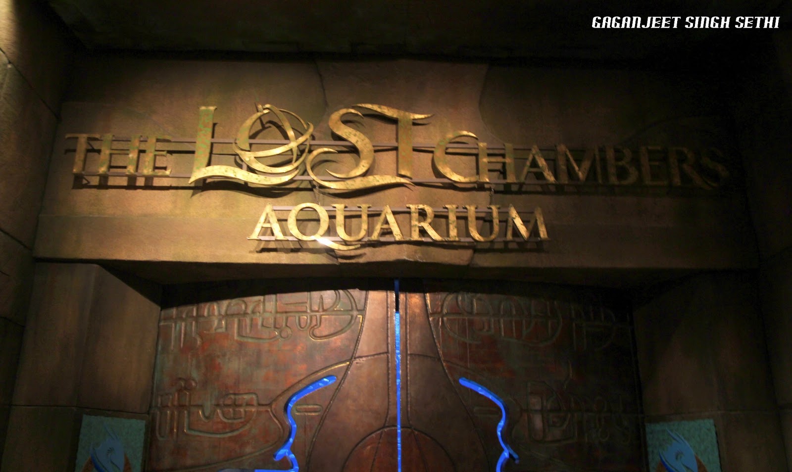 iThink: Photography: The Lost Chambers Aquarium - Atlantis