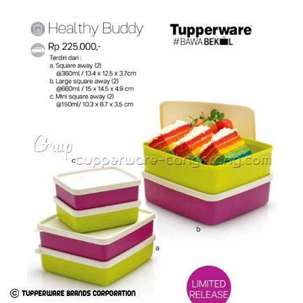 Healthy Buddy ~ Katalog Tupperware Promo Mei 2016 - Tangerang Tupperware