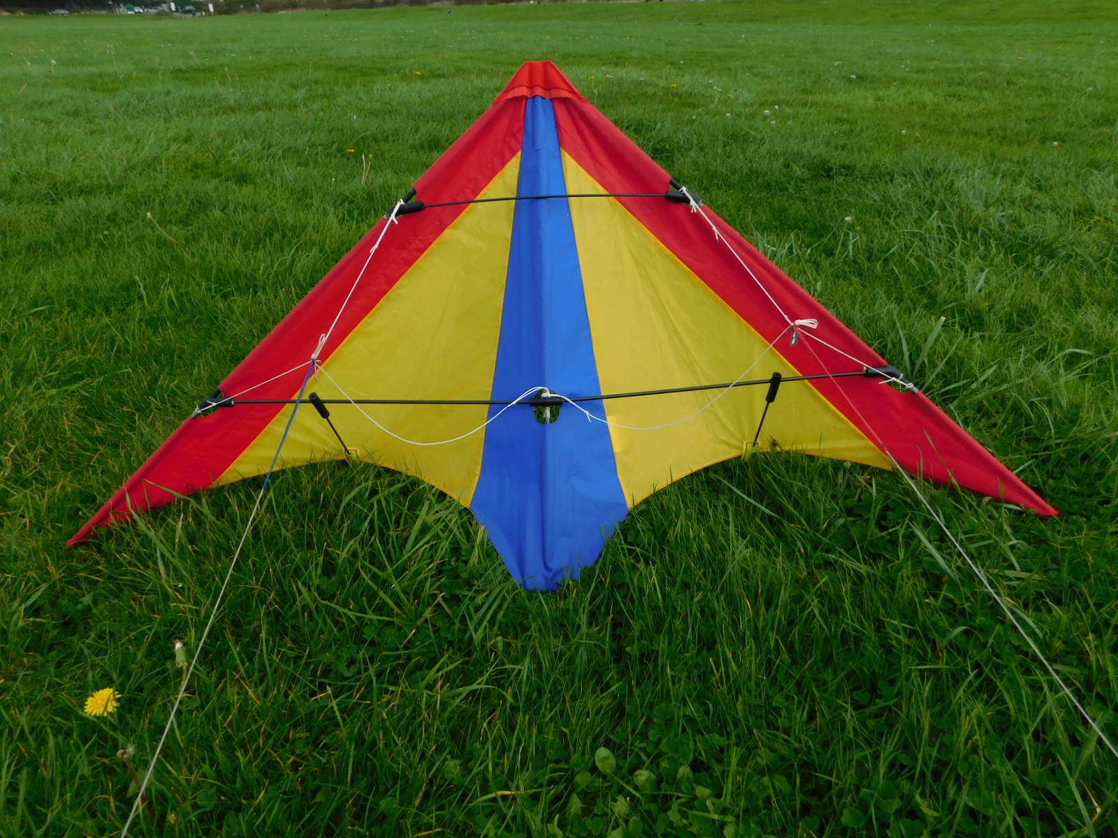 Peter Powell kites collection: Skychaser