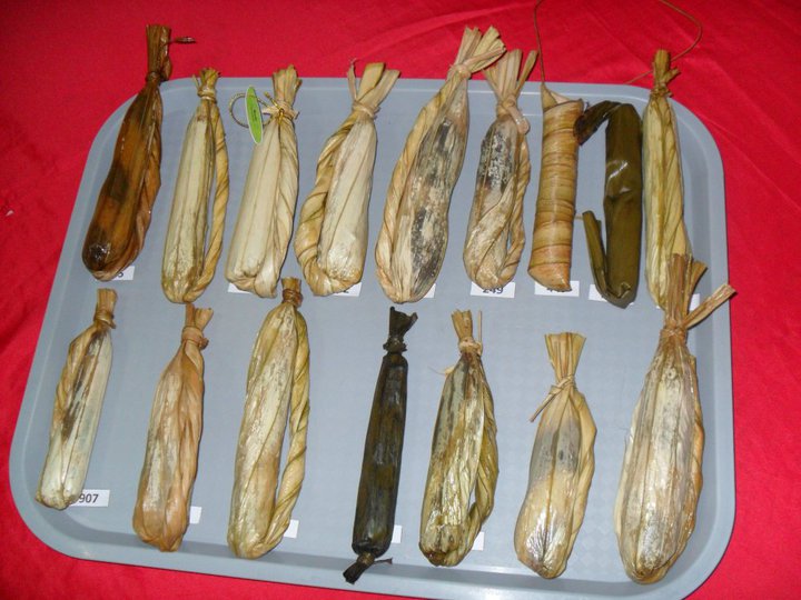 DOST Biliran PSTC: Suman is Naval's new pride