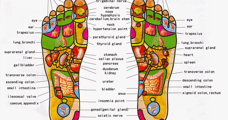 Beautiful MaMaJa: Refleksologi - Titik Pusat Saraf