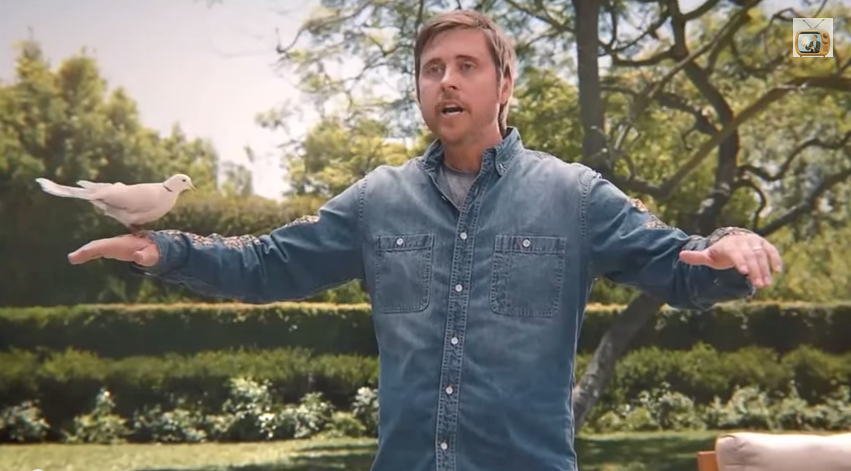 The Birdist: Birds at Large: Commercials - August 2014