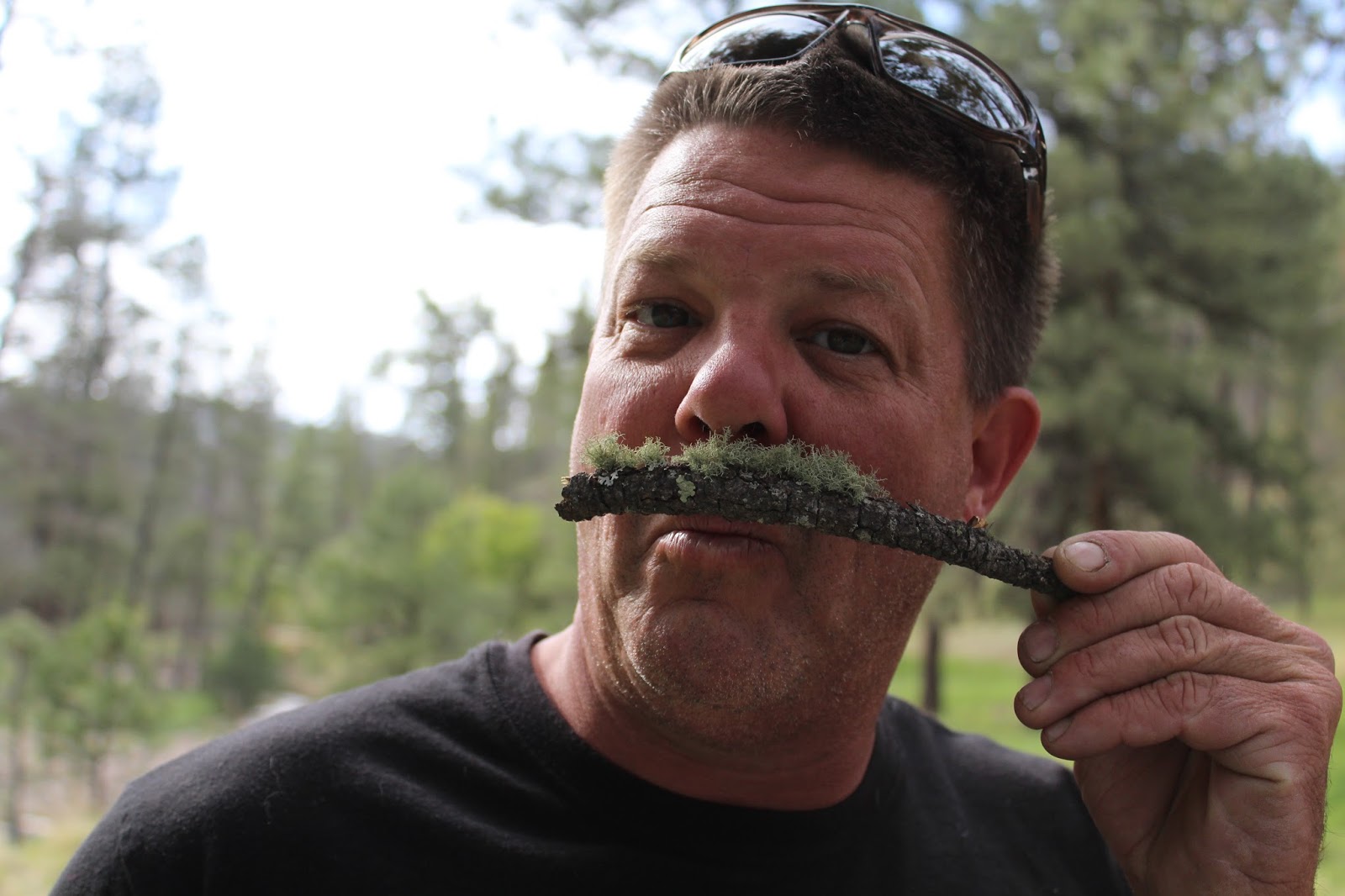 Restless Wilson's: Tall Mountains and the Real Rolling Turd
