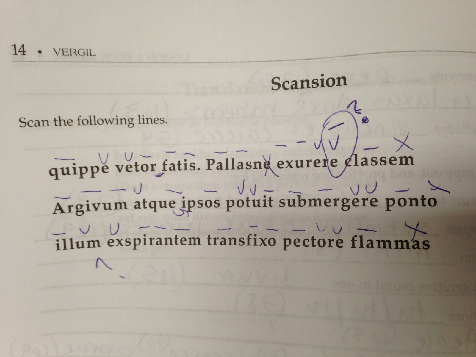 Latin Independent Study - Vergil and Caesar: Lesson 2: Book 1: Lines 34-80