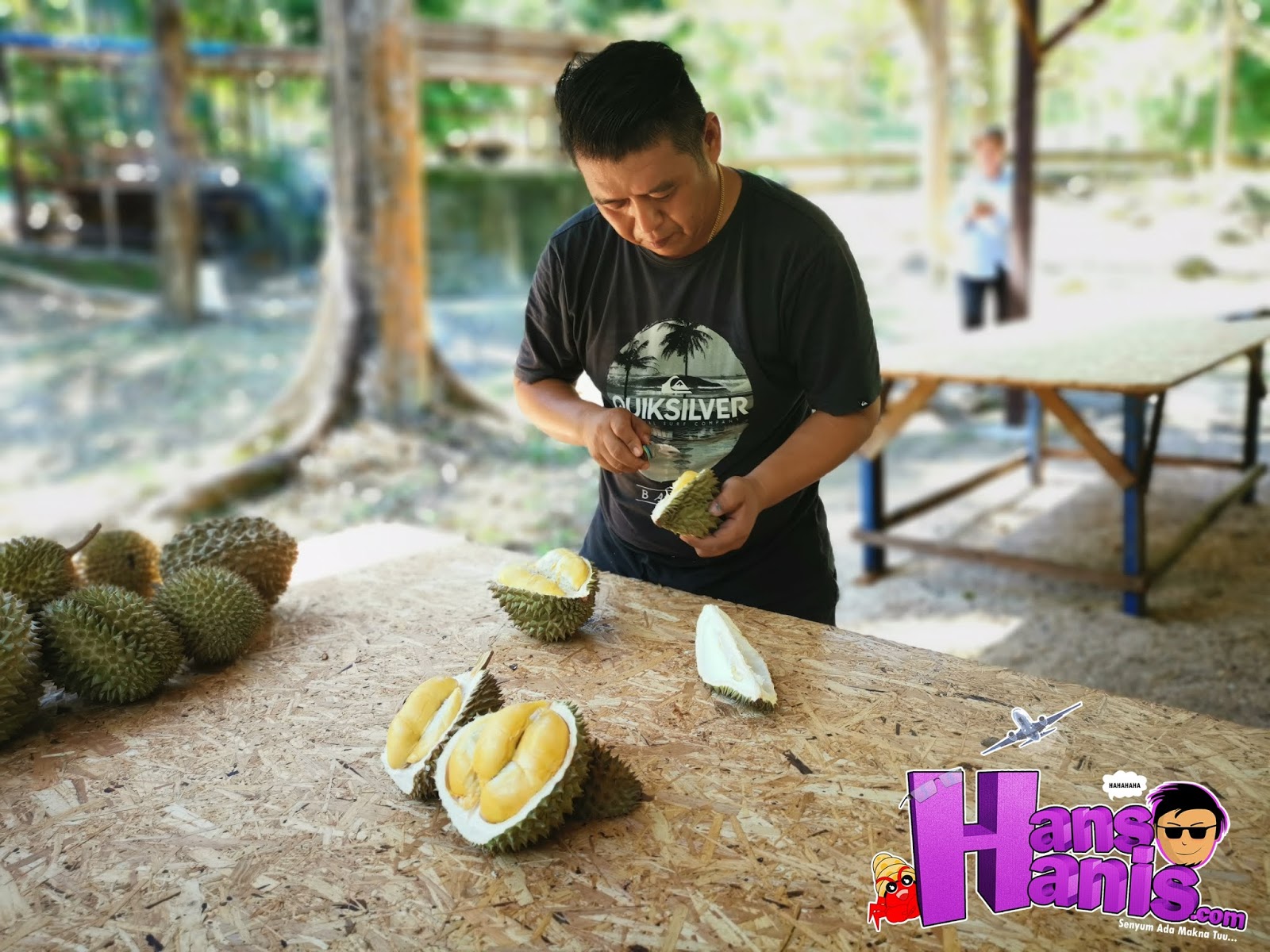 Makan Durian Segar Di Dusun Durian 8321 Balik Pulau