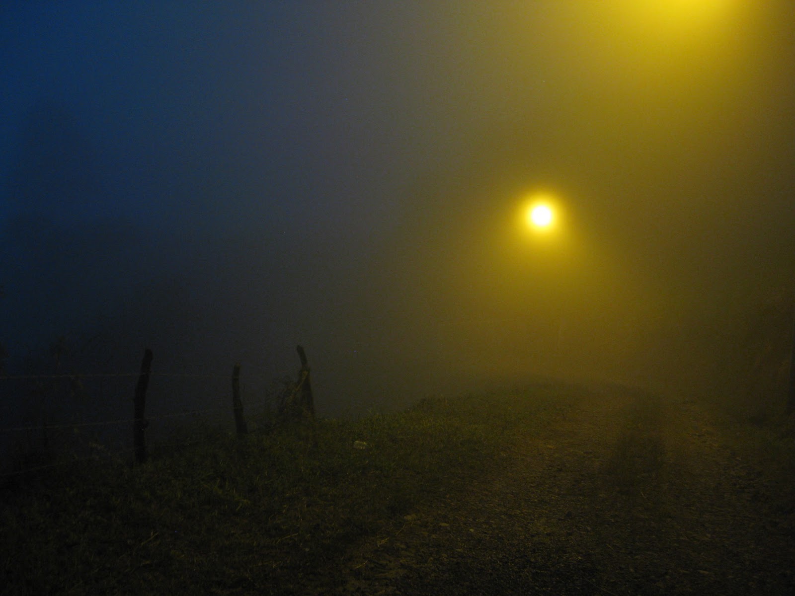 Jordan in Ecuador: Paccha, El Oro