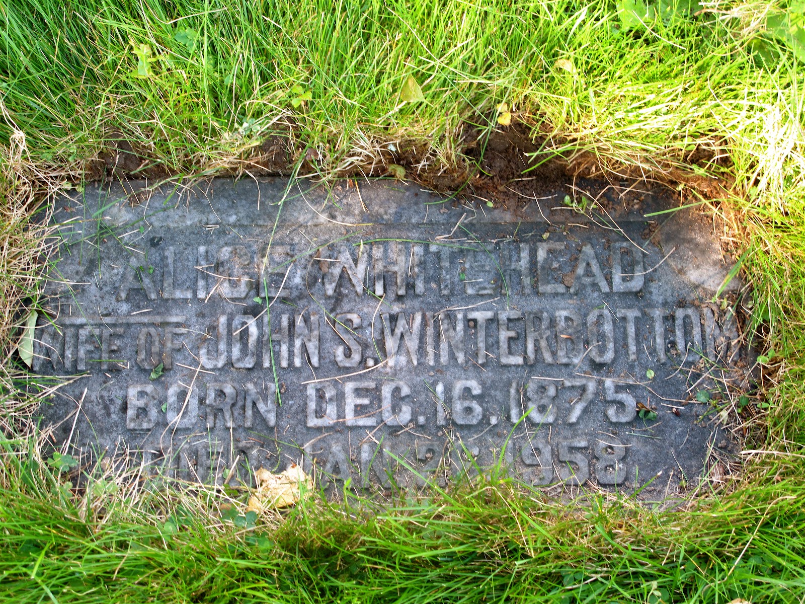 Making Connections: The Winterbottom Connection