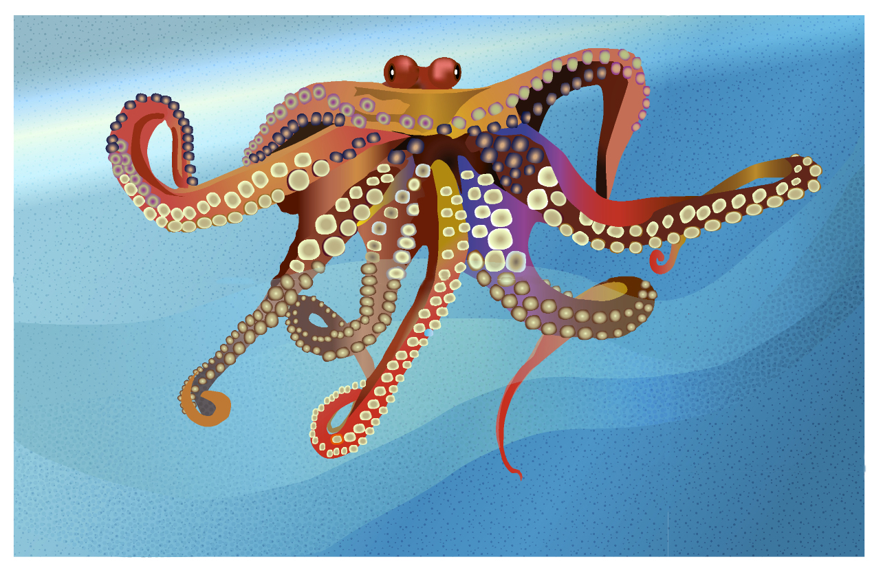 American E-Store: Octopus ..Eight Legs .. Thousands Eggs.