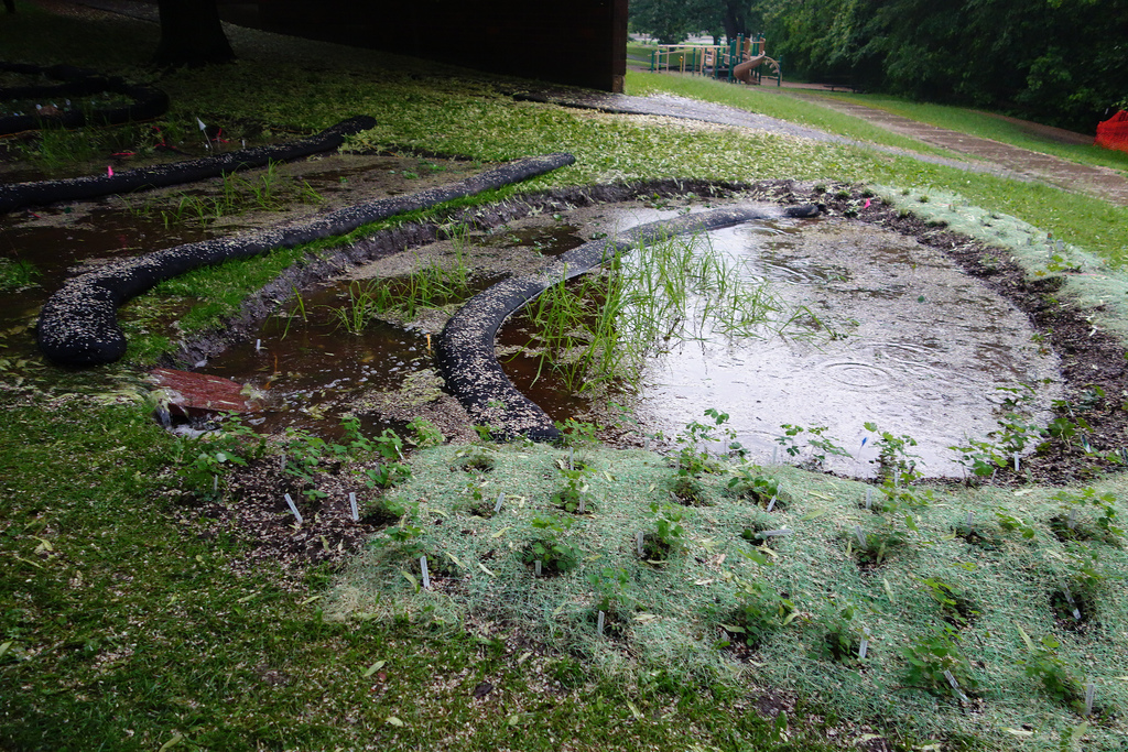 Rain Gardens in Dane County: How to build a large rain garden at a ...